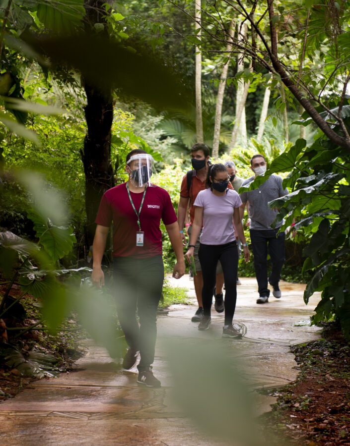 Guided visits - Inhotim