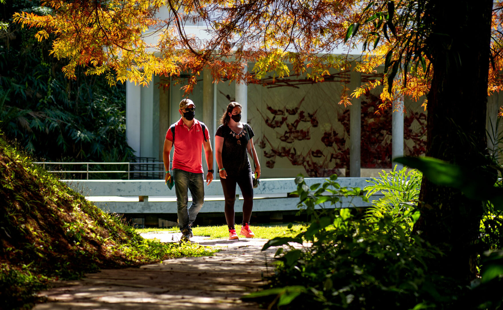 Programação - Inhotim