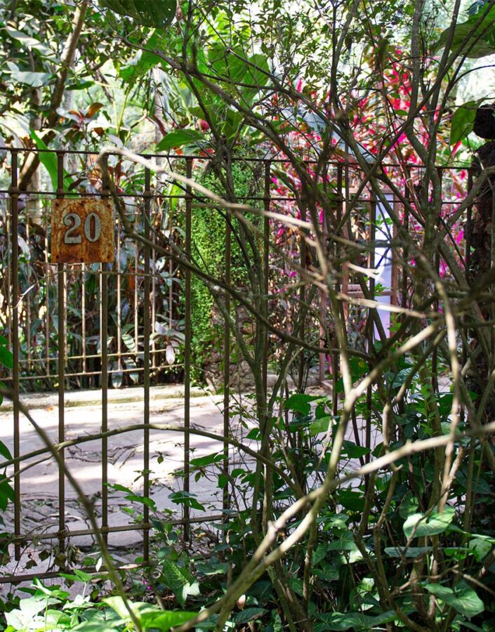 Inhotim publishes its first Visitor’s Guide - Inhotim