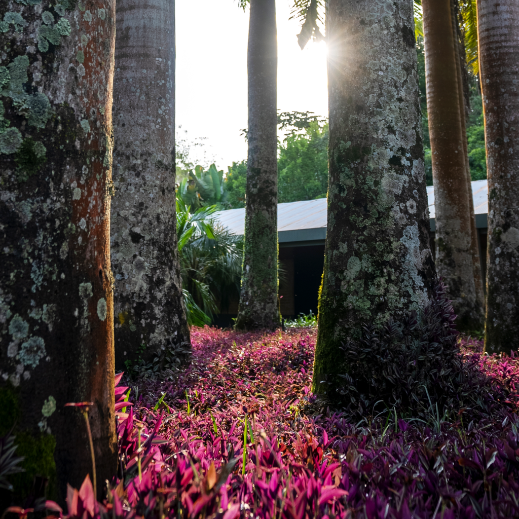 Abril no Inhotim - Inhotim