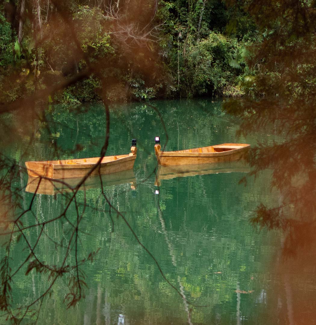 June at Inhotim - Inhotim