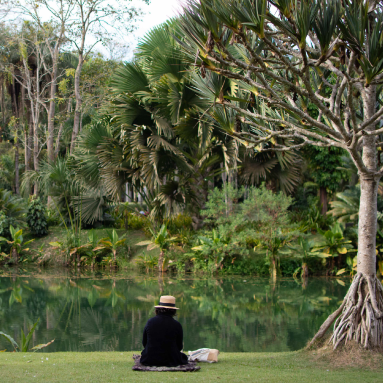 Bem-estar Inhotim - Inhotim