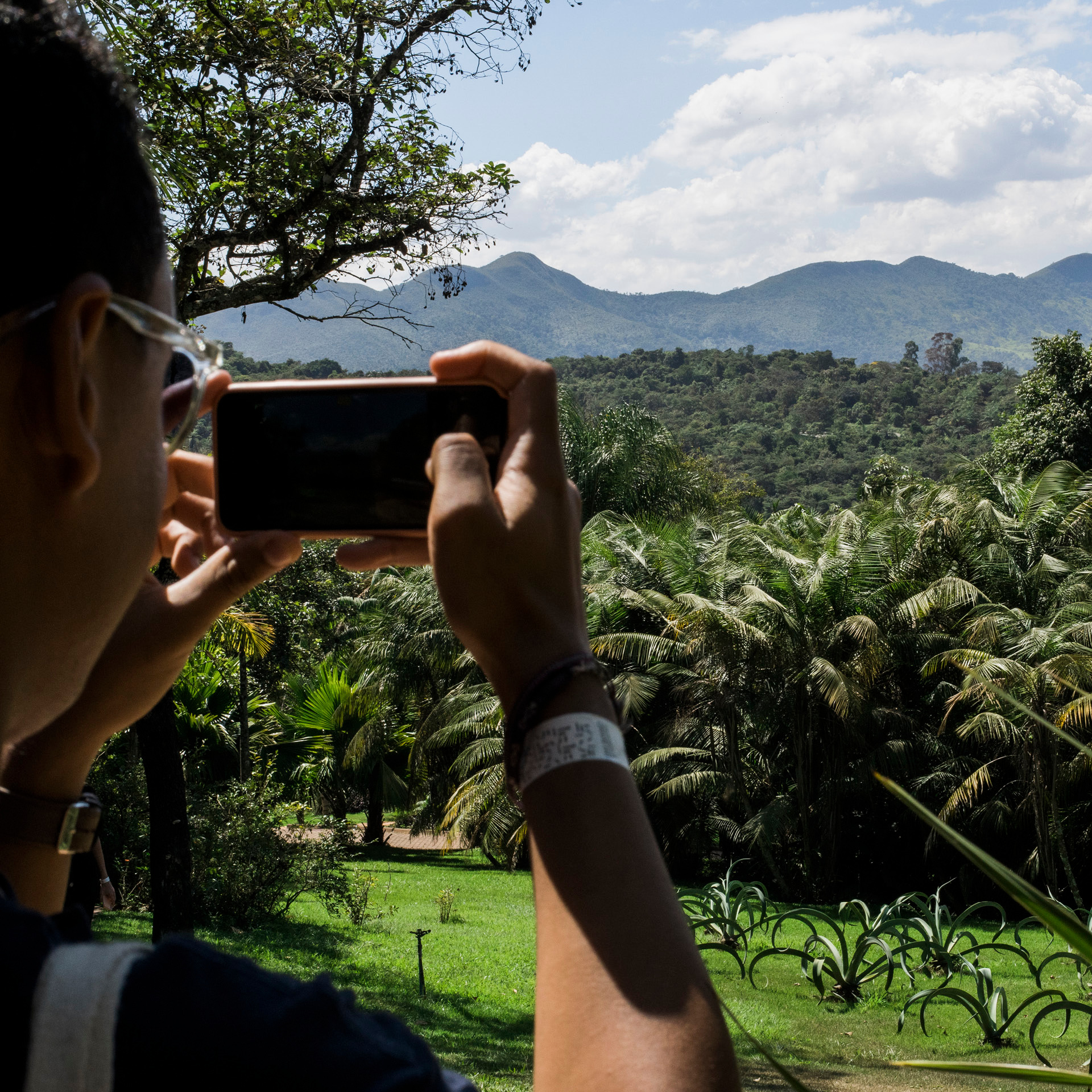 Photography on the Paths of Inhotim - Inhotim